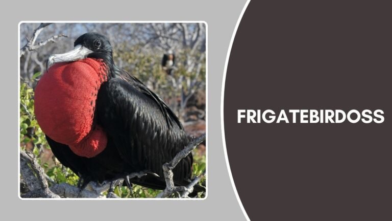 18 Types of Seabirds: Identification with Images & Habitat