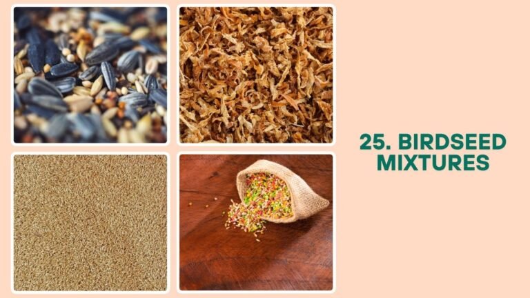 What Do Magpies Eat? 25 Foods They Love Eat
