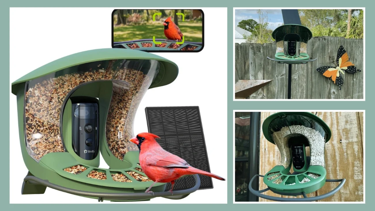 10 Best Wireless Bird Feeder Cameras for Smart Birdwatching