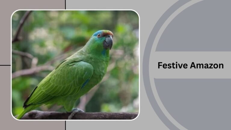 15 Types of Amazon Parrots: Identification With Pictures