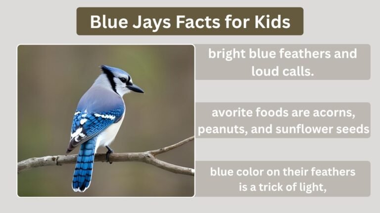 Blue Jay Facts and Secrets: What Makes This Bird So Special?