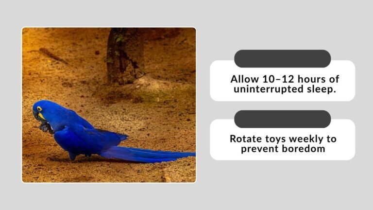 Blue Parrot: Types, Facts, and Pet Care Guide