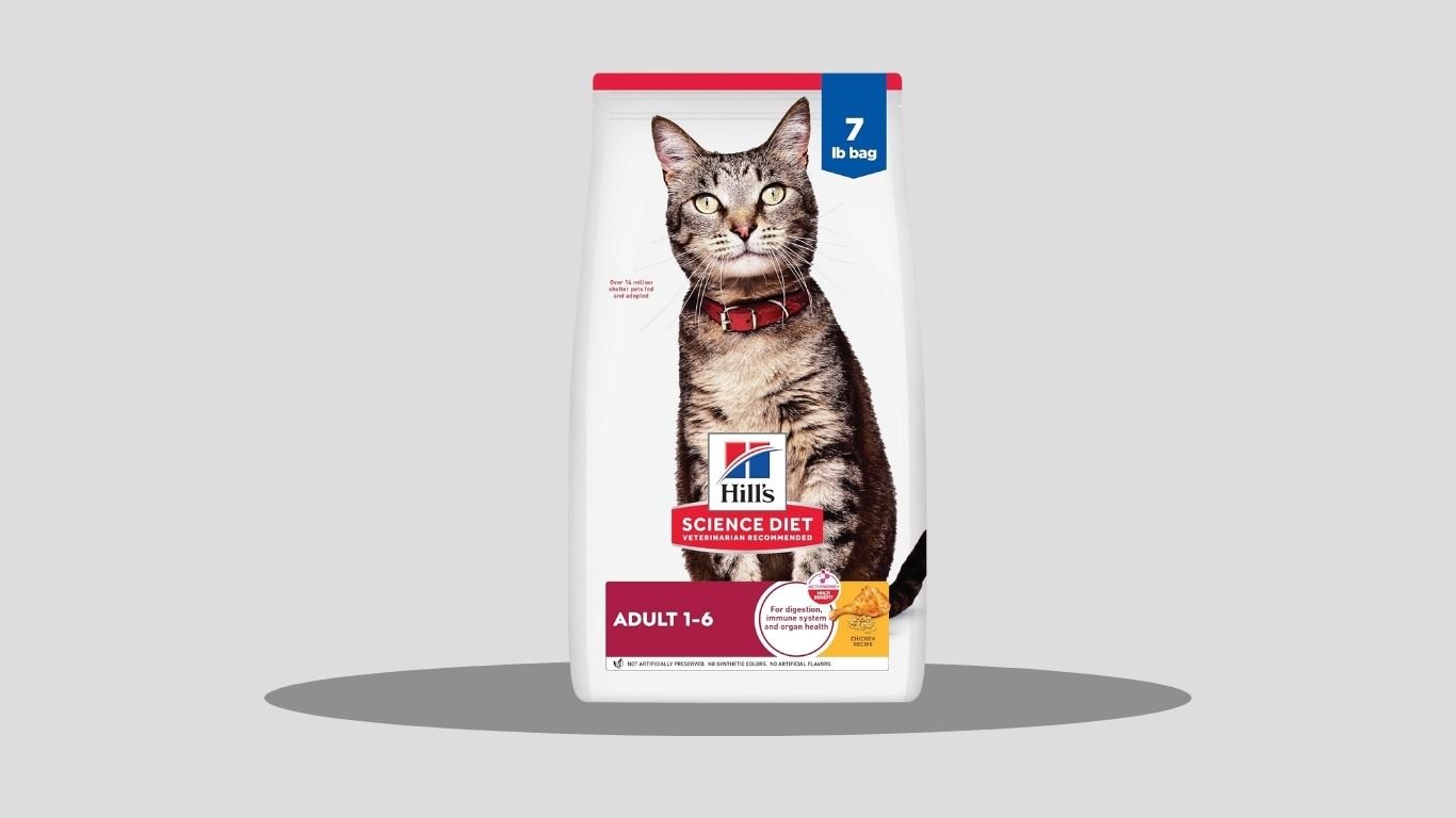 15 Best Cat Food Brands for Healthy and Happy Cats