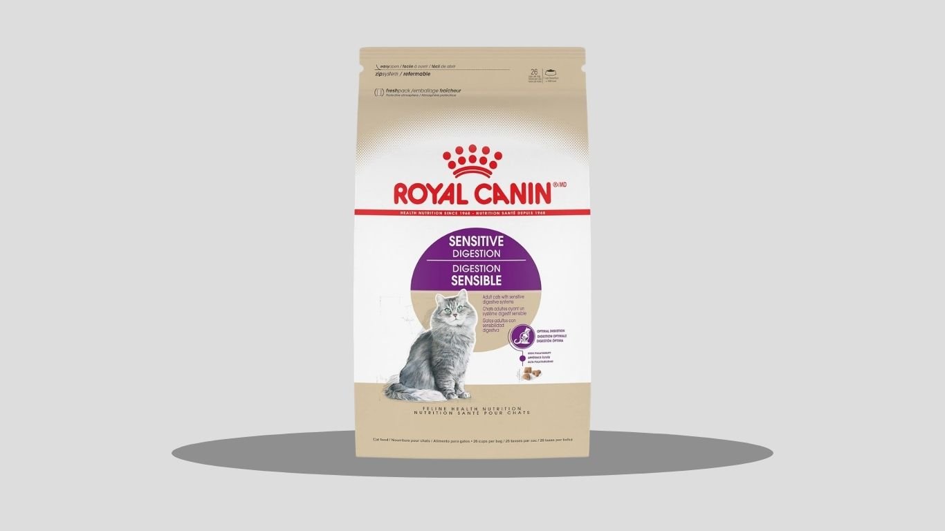15 Best Cat Food Brands for Healthy and Happy Cats